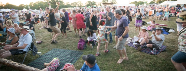 New Forest Folk Festival home page